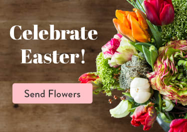 Montclair NJ Florist - FREE Flower Delivery in Montclair NJ - Montclair ...