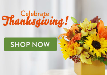 Spring Hill FL Florist - FREE Flower Delivery in Spring Hill FL ...