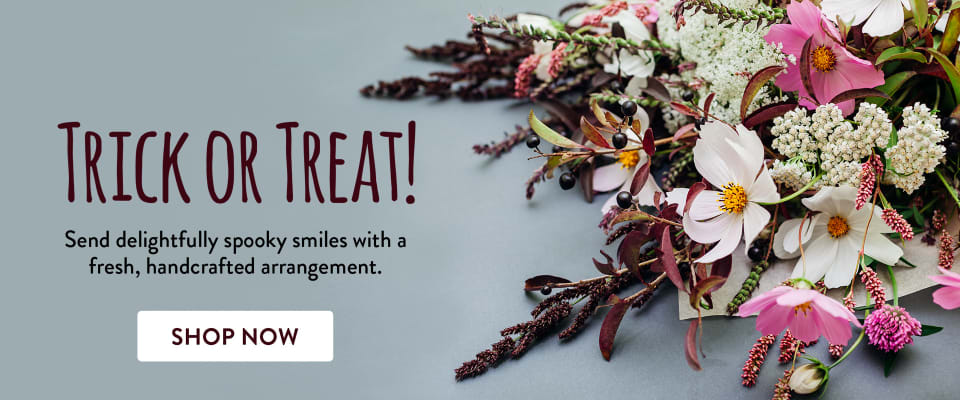 Winnipeg Flower Delivery by Osborne Florist | Send Flowers Today!