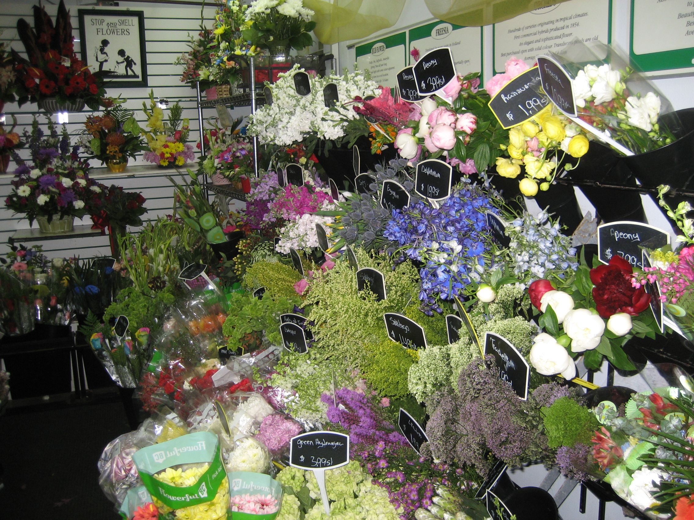 About Edmonton Flowers Ltd - Reviews, Hours & Delivery in Edmonton AB