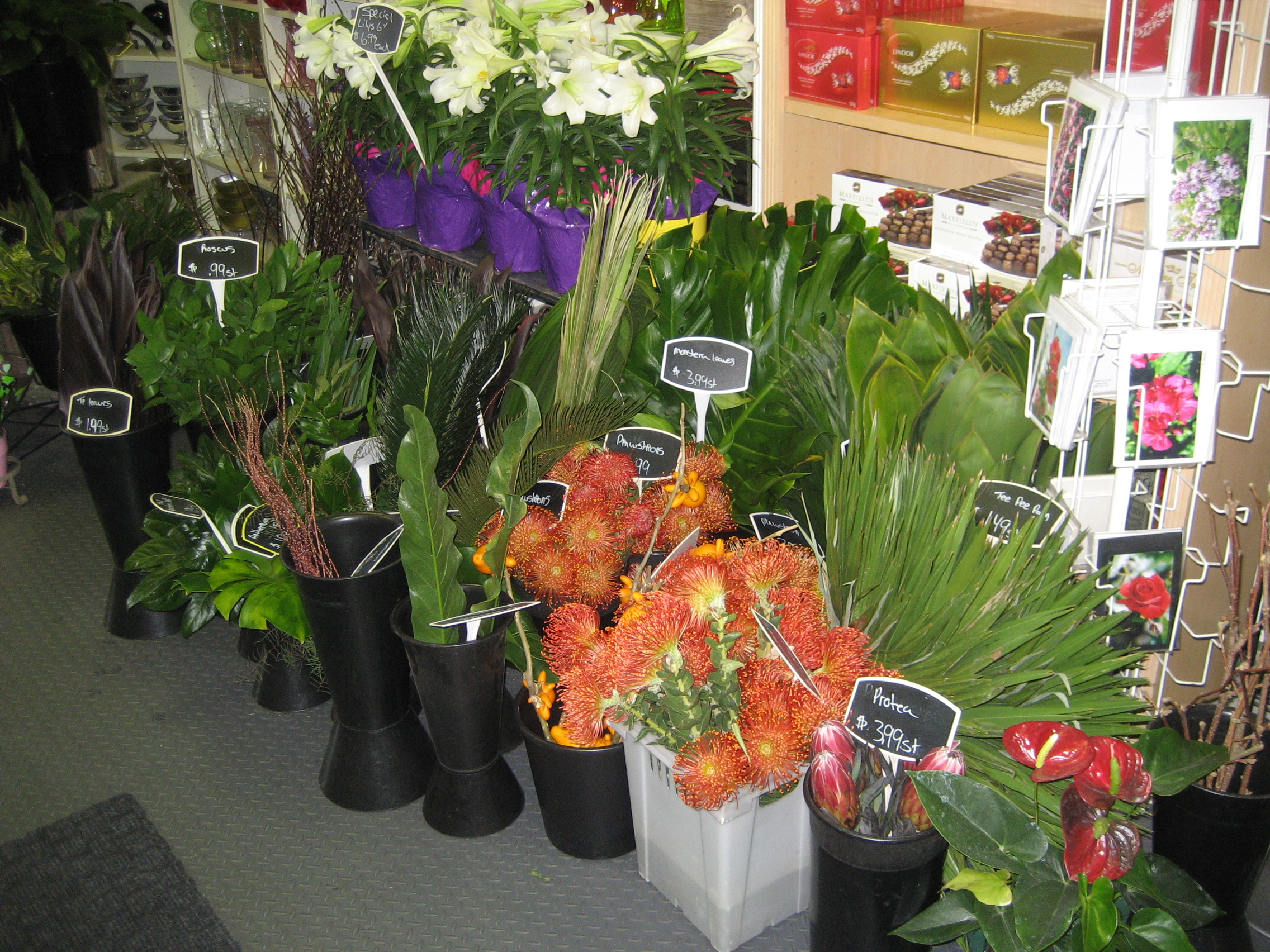 About Edmonton Flowers Ltd - Reviews, Hours & Delivery in Edmonton AB