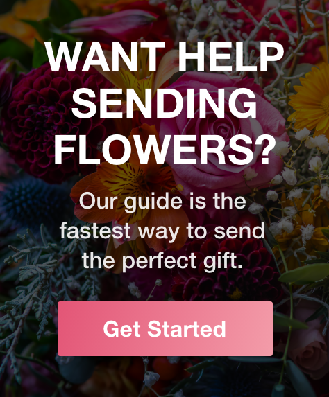 Flowers for Any Occasion | Belak Flowers - Wilmington, DE Florist