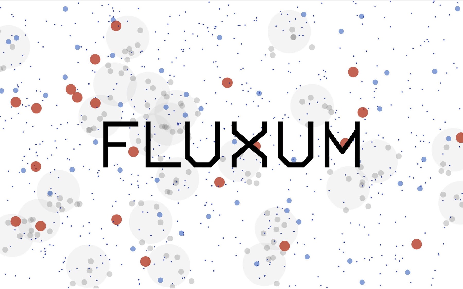 Stratégie digitale pour la Fondation Fluxum - Ulrich Fischer