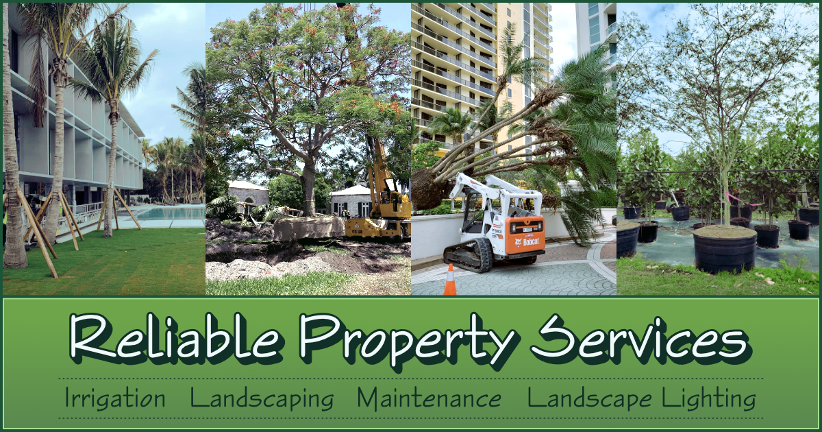 Reliable Property Services