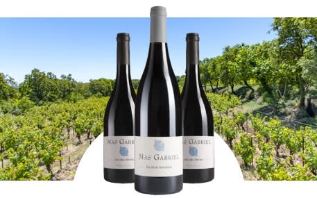 Mas Gabriel | Buy Mas Gabriel wines at best price