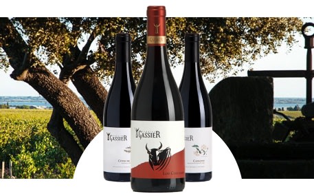 Domaine Gassier | Achat vins Gassier au meilleur prix