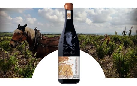 Domaine Mayard | Achat vins Mayard au meilleur prix