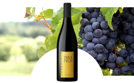 La Vinsobraise | Achat vins Vinsobraise au meilleur prix