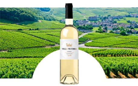 Domaines Pierre Chavin | Achat vins Chavin au meilleur prix