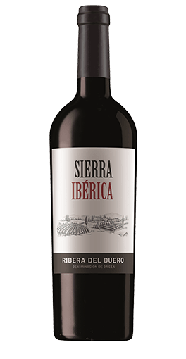 Bodega Teófilo Reyes Ribera del Duero Sierra Ibérica rouge 2020 | 1jour1vin