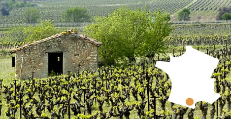 Vins du Roussillon, IGP, AOC et grands crus à acheter en ligne
