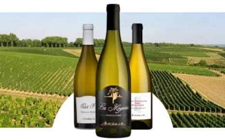 Domaine Michel Redde | Achat vins Michel Redde au meilleur prix
