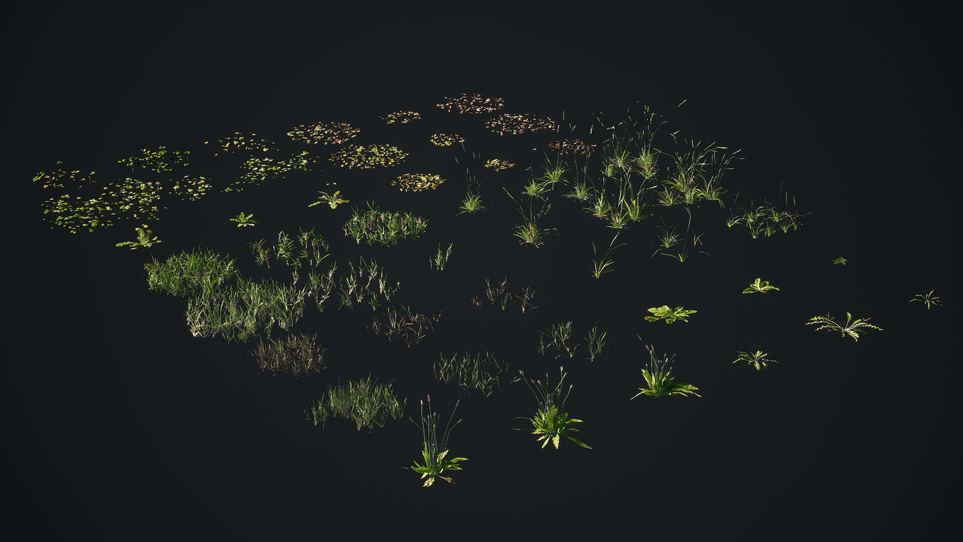 Unreal Engine Marketplace – Megascans Meadow Pack دانلود | Free ...