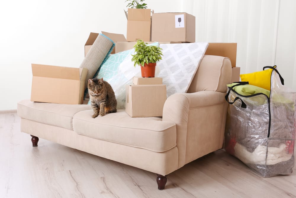 How Many Boxes Do You Need to Move — and Where to Find Boxes