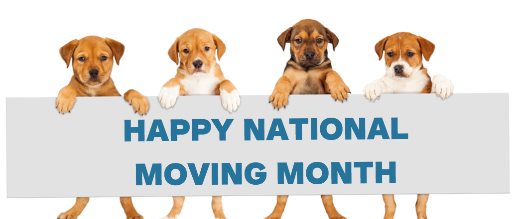 Happy National Moving Month - May 2017 - Updater