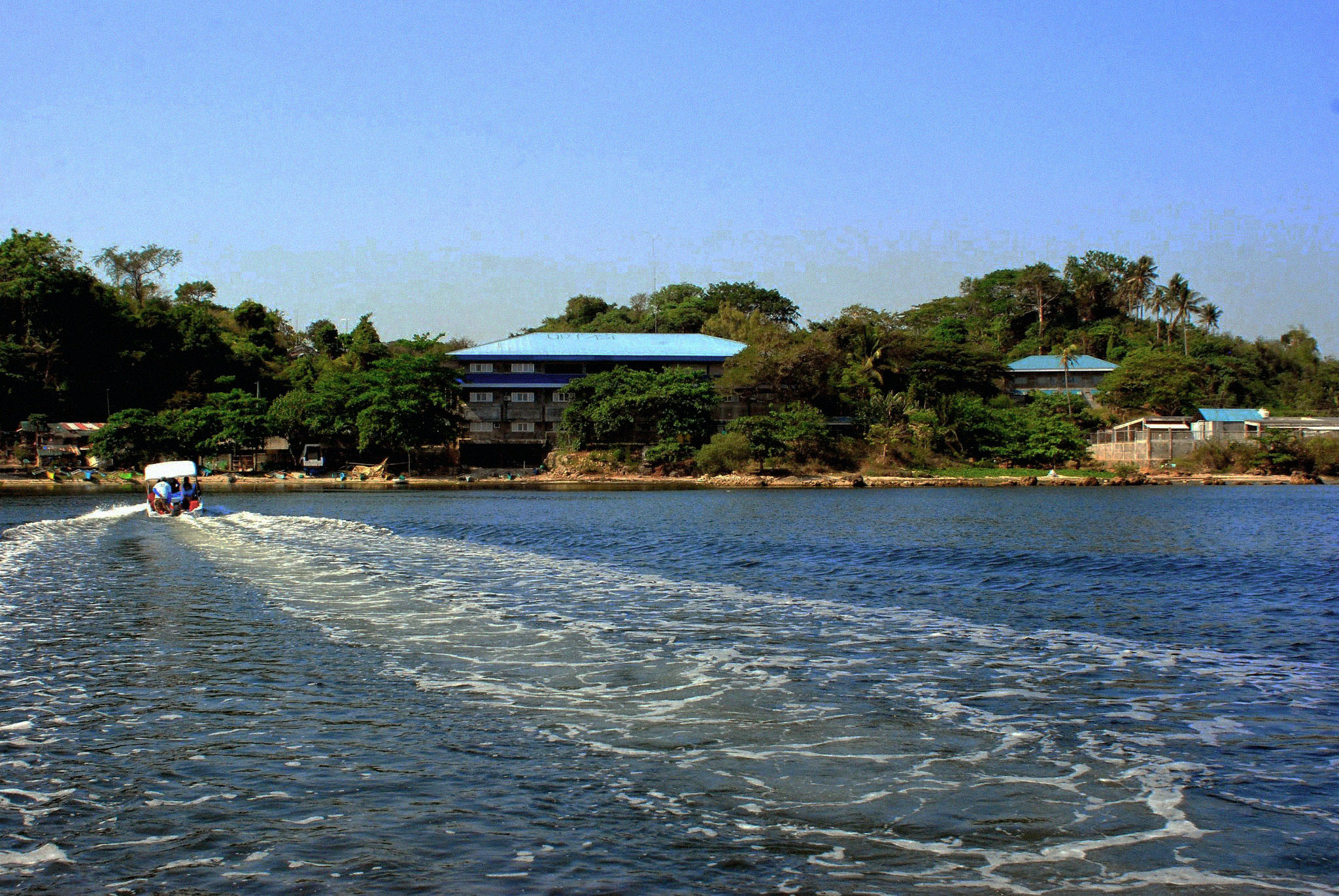 UP Marine Science Institute