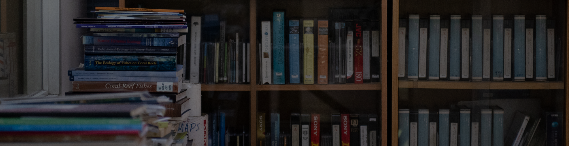 UP Marine Science Institute