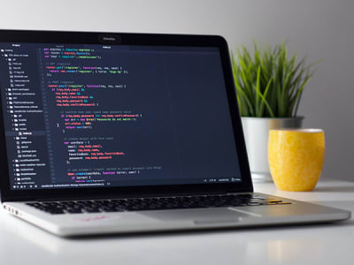 Web Programming & Development Services Online | Upwork