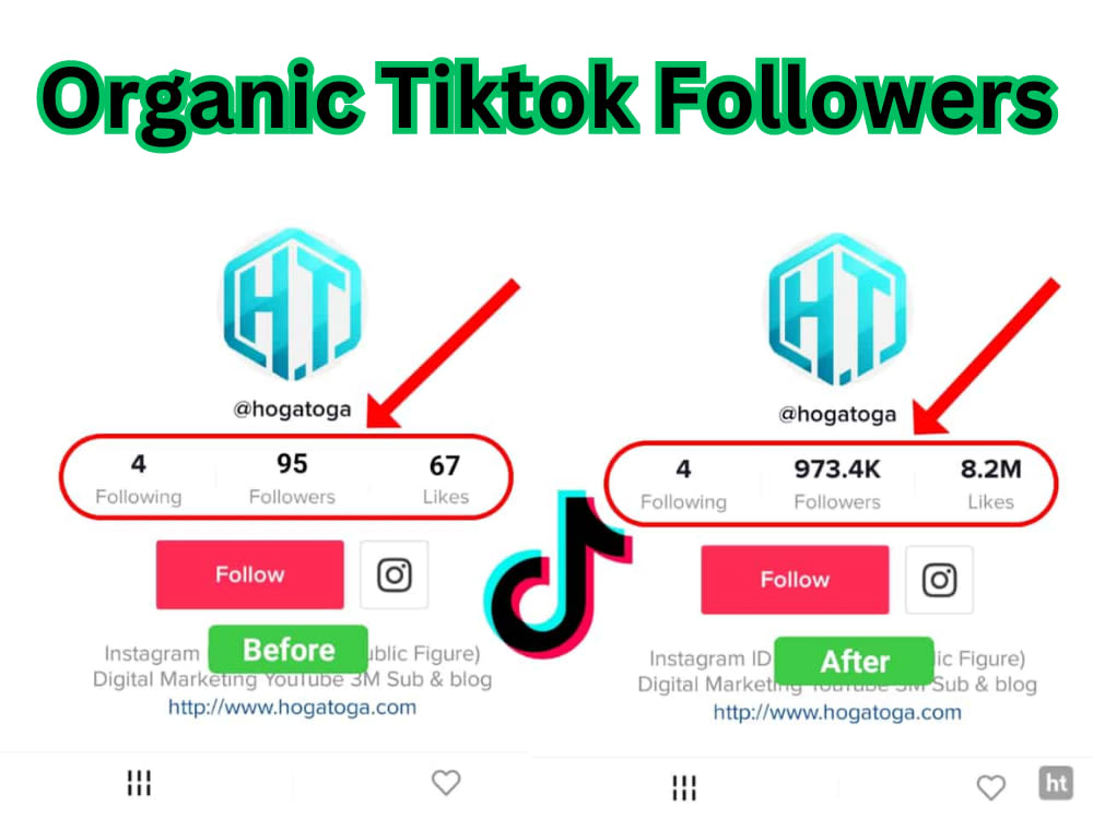 10000+ real organic TikTok followers for your TikTok | Tiktok Follower ... 10000+ real organic TikTok followers for your TikTok | Tiktok Follower ...