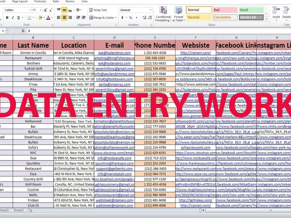 Accurate Data Entry Specialist with Typing, Excel, Copy & Paste work | Upwork