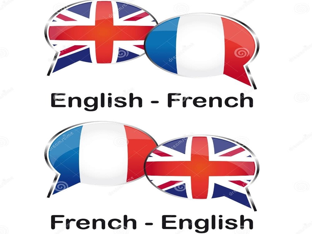 Hard Working Translator That Will Help You In Translation Of Many ...
