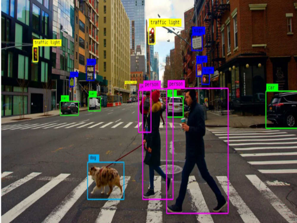 Image Processing Data Annotation Computer Vision Project Upwork