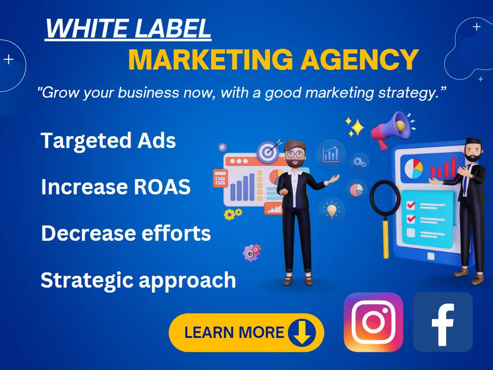 Highly targeted Facebook+IG ads campaign active within 24 Hours | Upwork