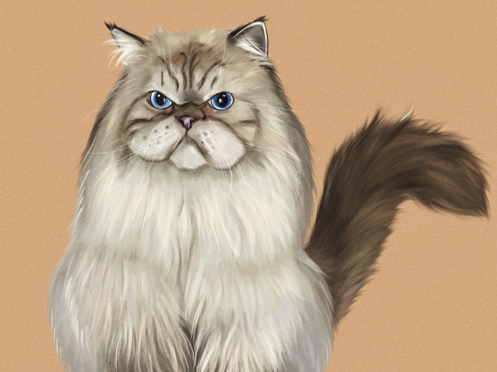 A custom cat portrait FULL BODY in 24 hours | Upwork