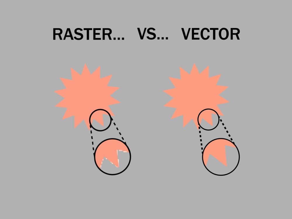 Vector tracing, vector illustration from your raster image | Upwork