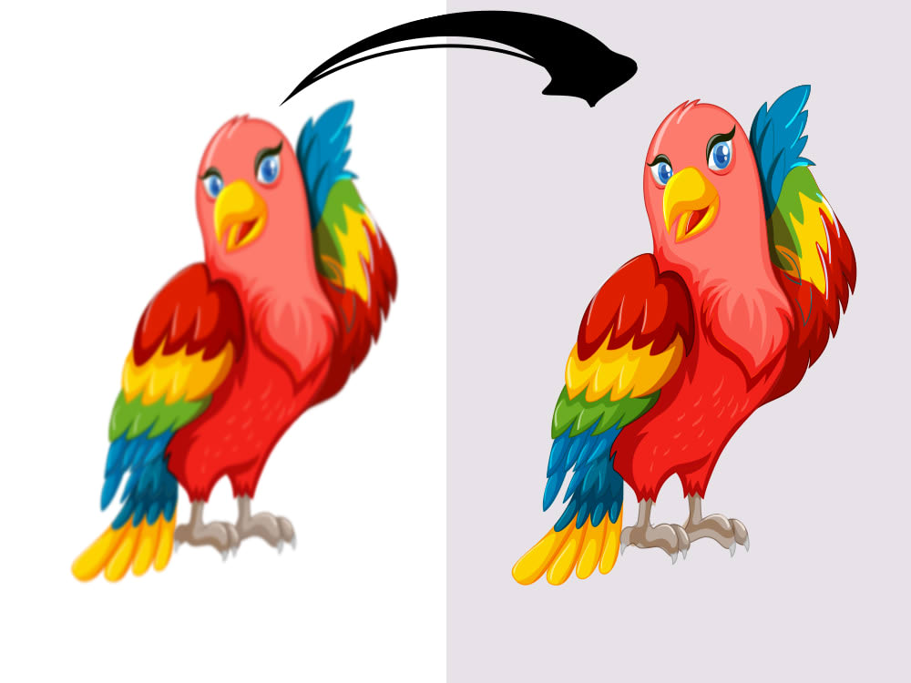 Vectorize image, vector tracing,redraw, recreate and covert to vector files | Upwork