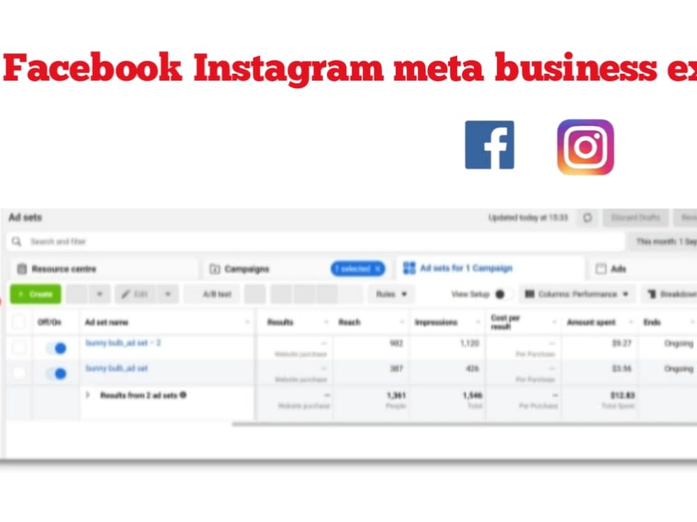 Set-up and manage Facebook, Instagram ads and meta business | Upwork