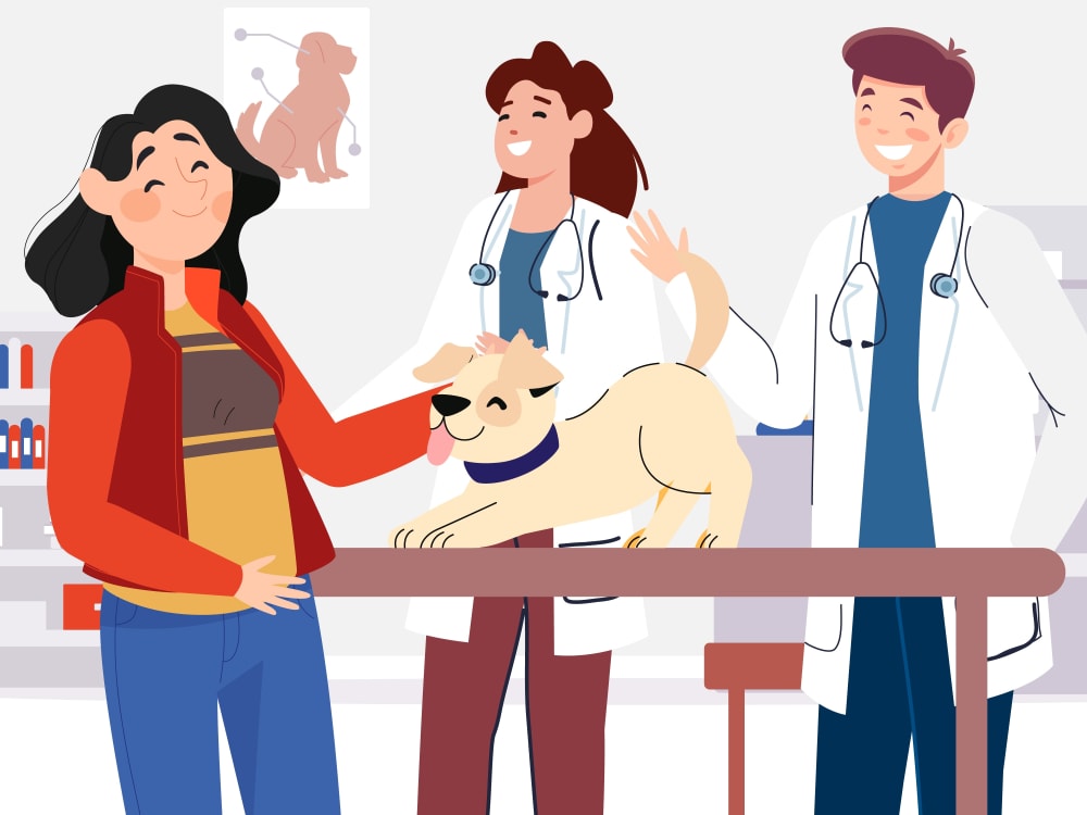 Custom 2d explainer illustration storyboard with unlimited revision ...