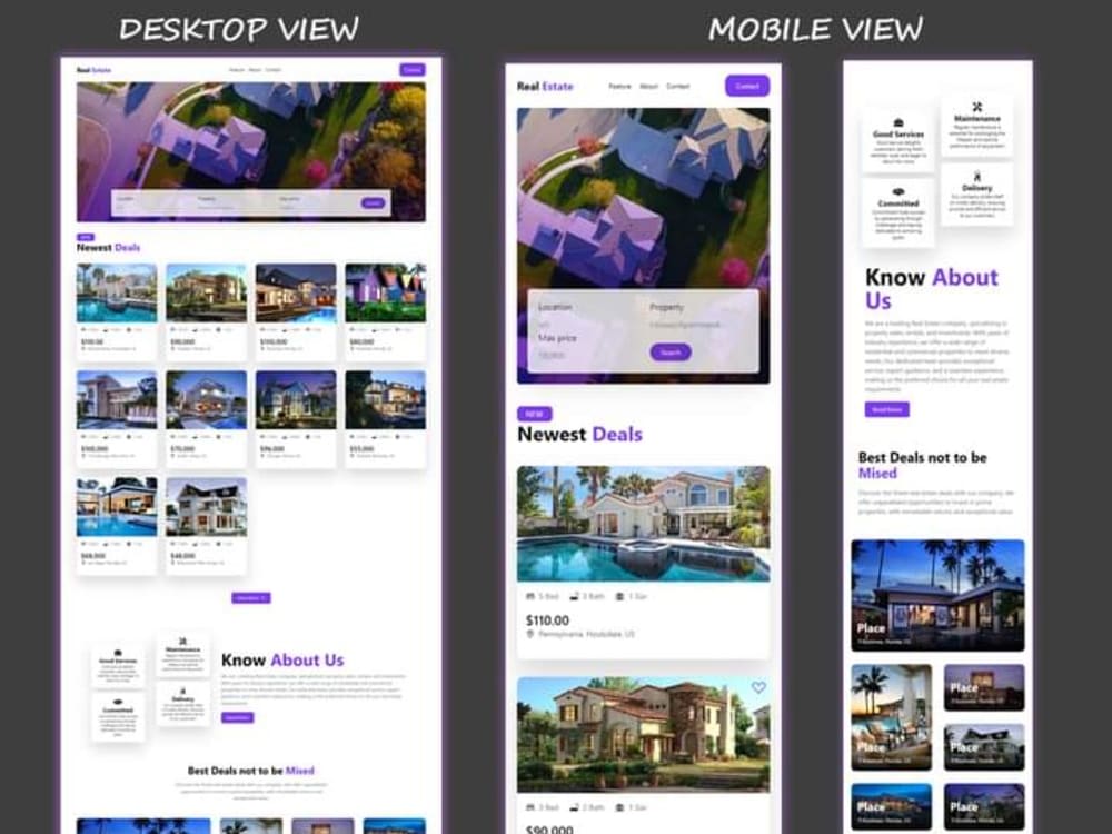 Wordpress Development with theme setup, WordPress Website, WordPress Expert | Upwork