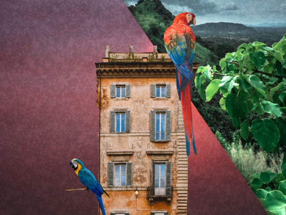 Euphoric and Eye-provoking Cover Art | Upwork