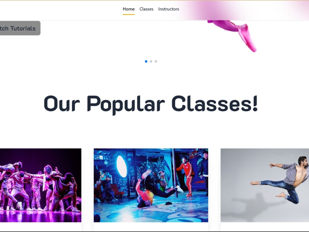 React Developer Frontend Developer Mern Stack Full Stack Web