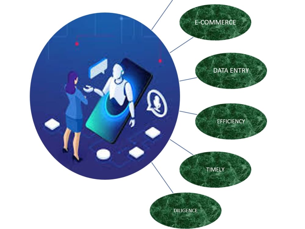 Seamless Administrative Workflow Data Entry And Virtual Assistance Upwork