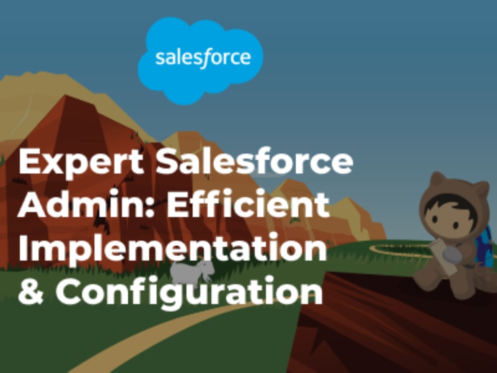 Salesforce Admin Configuration And Implementation Expert Upwork