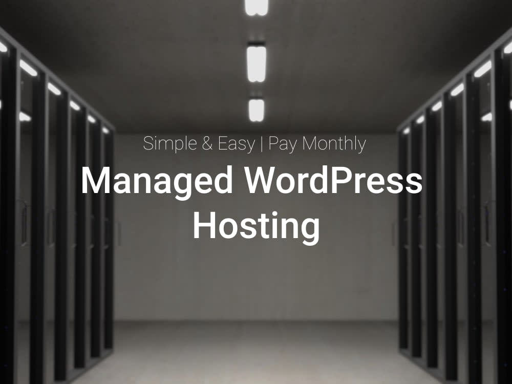 Basic WordPress Hosting, Fully Managed, Simple & Easy WordPress Solution | Upwork
