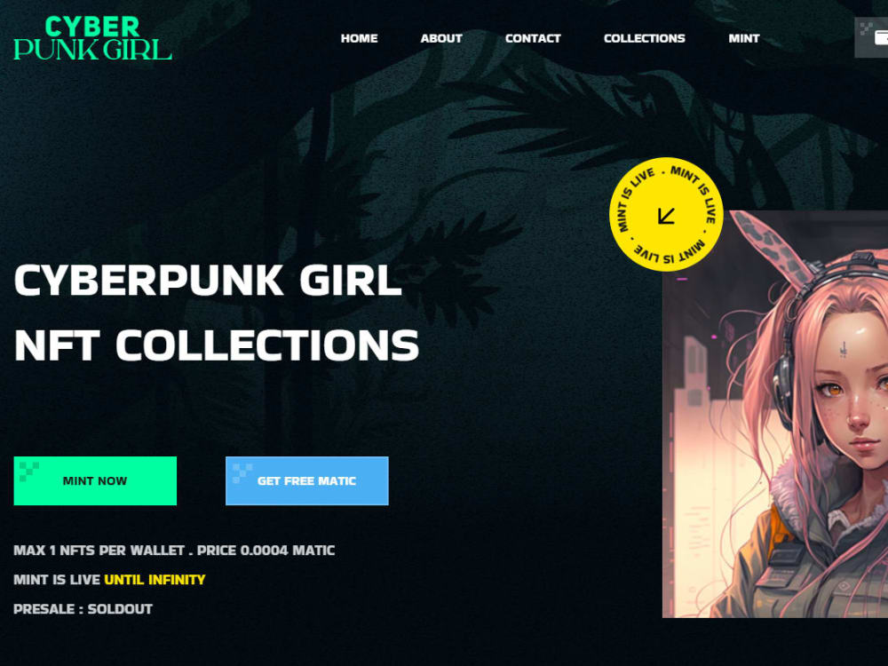 An Expert Full Stack Web3 Developer | Blockchain & Smart Contracts | Upwork