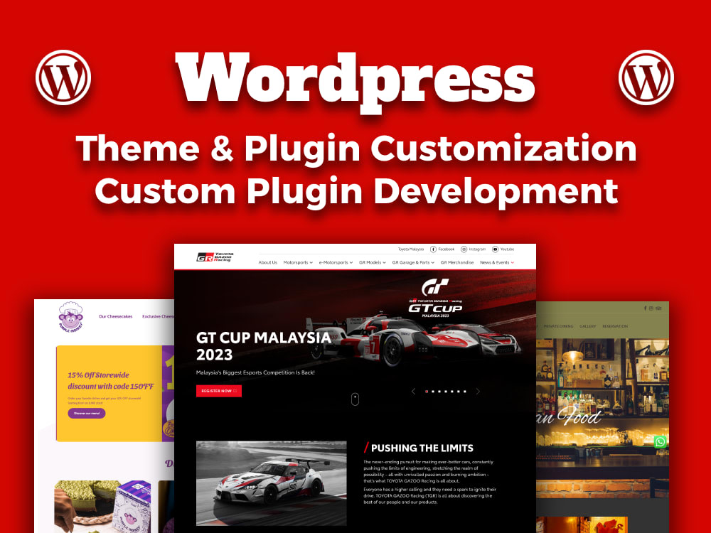 Wordpress Customization Theme And Plugin Customization Plugin