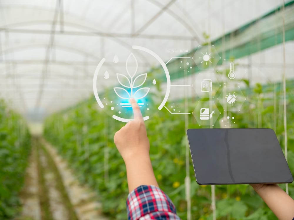 IoT-AI Integrated Smart Farming and Smart Greenhouse / Poly-House ...
