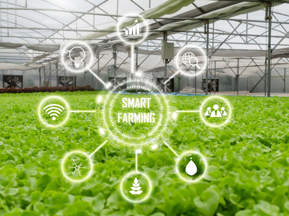 IoT-AI Integrated Smart Farming and Smart Greenhouse / Poly-House ...