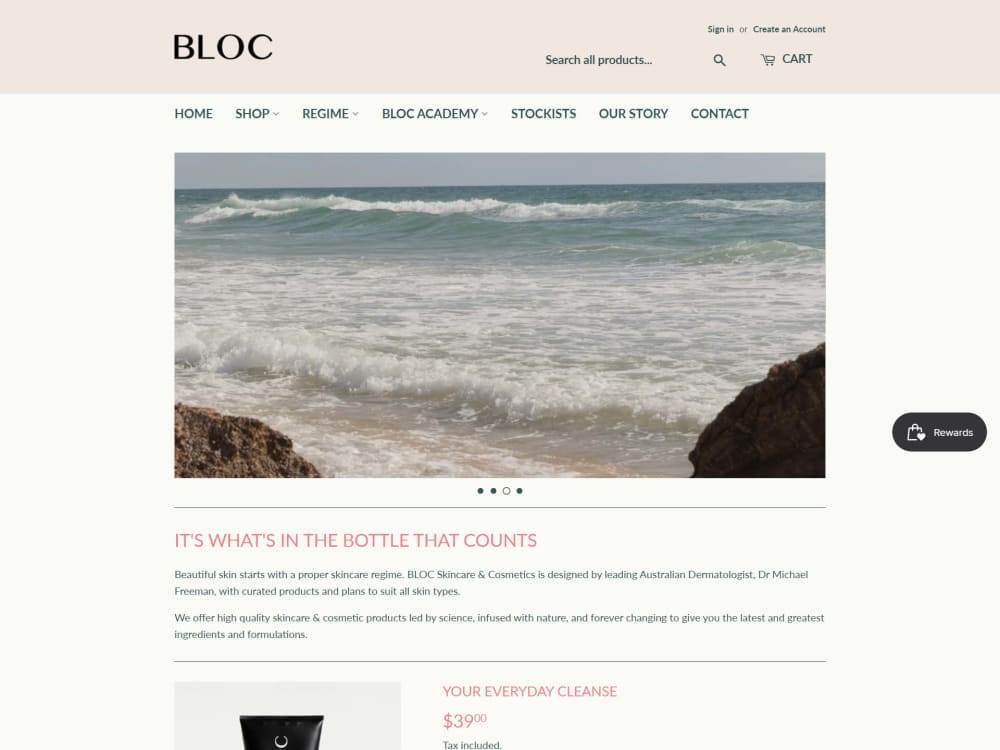 ECommerce website / Online -Store /Shopify Template - Wordpress Eshop ...