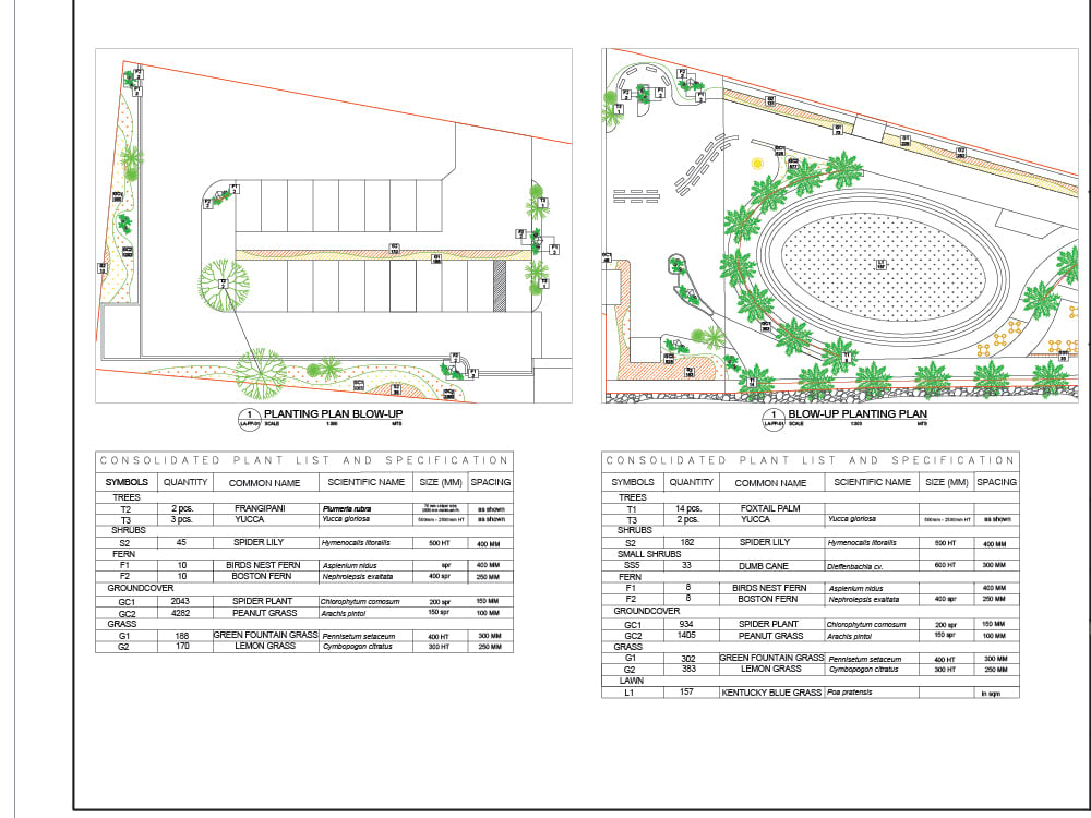 A 2D Landscape Plan | Upwork