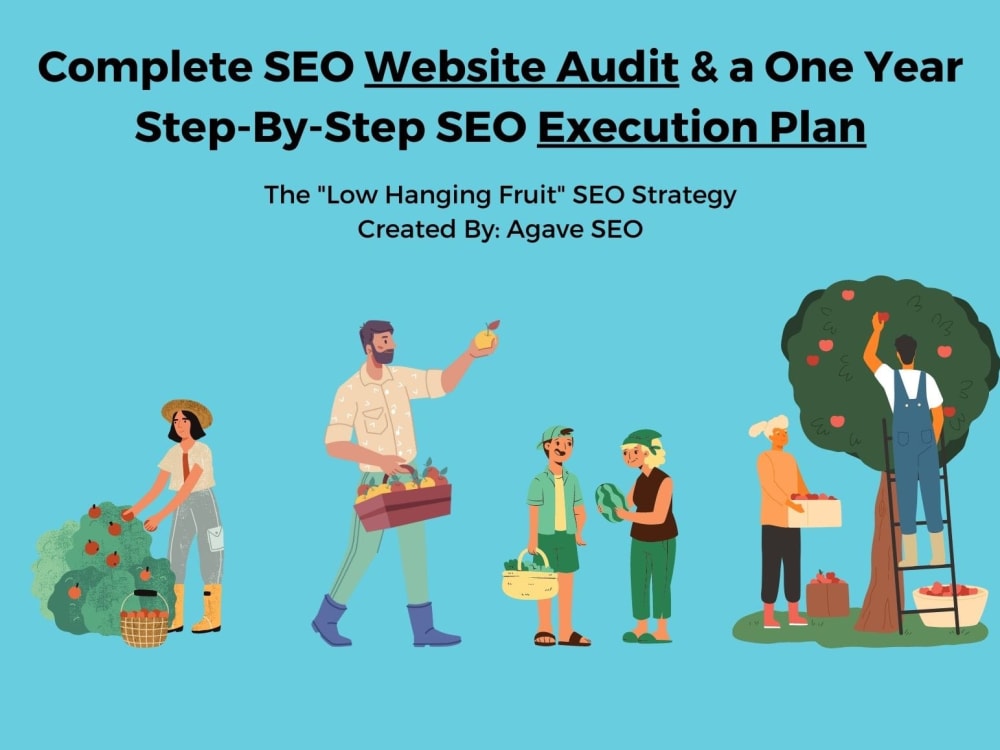 A In-Depth SEO Website Audit & a Custom One-Year Step-By-Step SEO Plan | Upwork