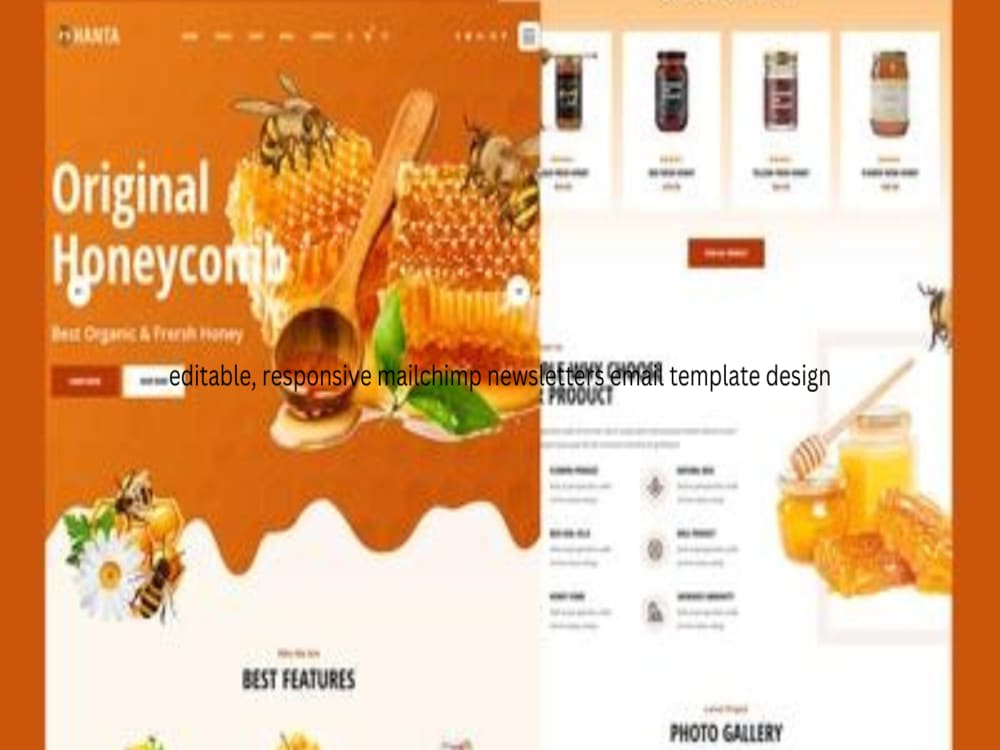 Editable, responsive mailchimp newsletters email template design | Upwork