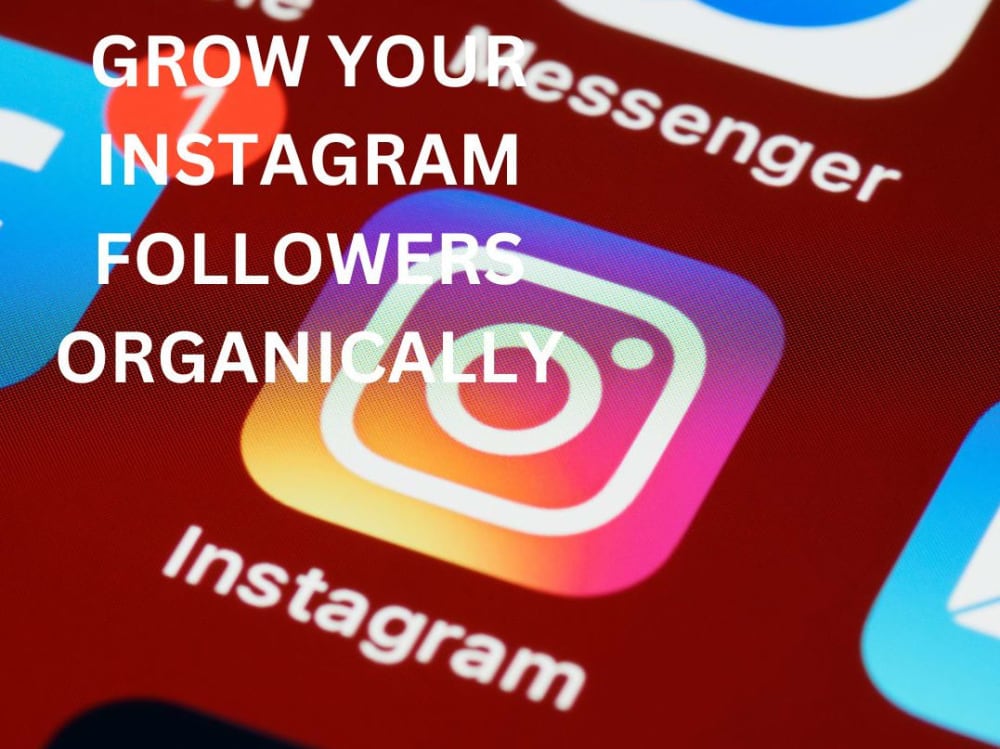 Highly Targeted Real Instagram Followers Like Comments and Engagement ...