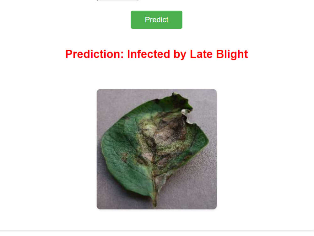 Potato Disease Detection Model | Upwork