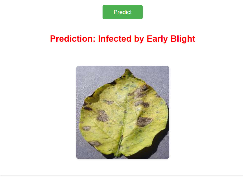 Potato Disease Detection Model Upwork