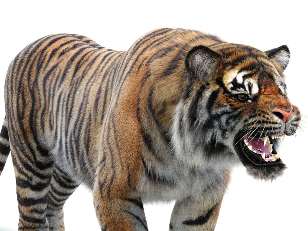 Cute 3d character modeling, animal, chibi, people, cartoon model | Upwork